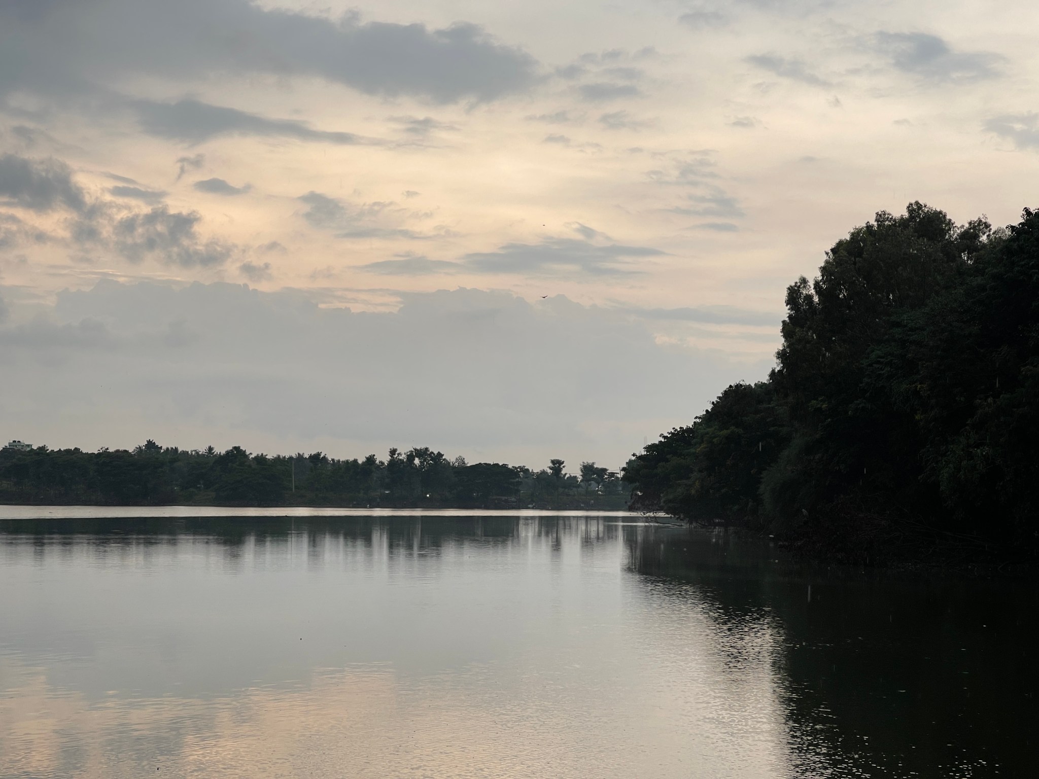 Ten Days at the Jindal Naturecure Institute : A Retreat for Health and ...