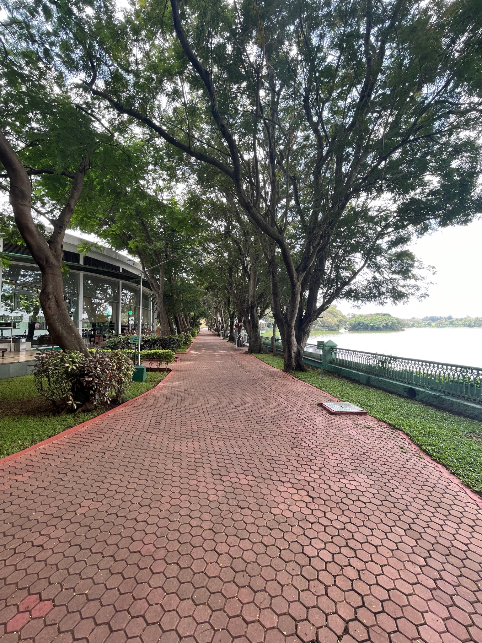 Ten Days at the Jindal Naturecure Institute : A Retreat for Health and ...